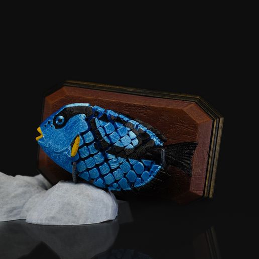 🐠 Blue Tang・ 3D File for ・Cults