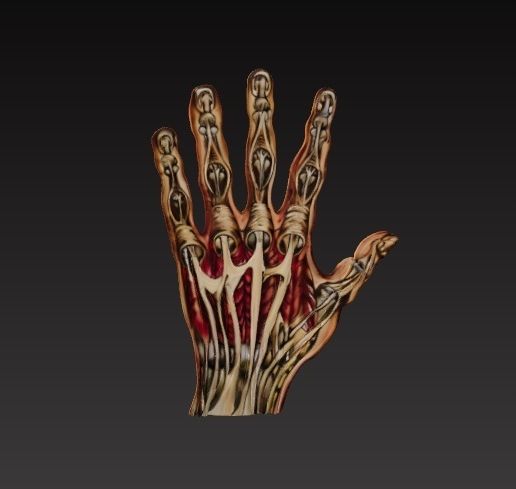 hand・ STL File for 3D printing・Cults