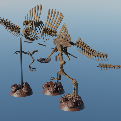 💀 Spinosaurus aegyptiacus skeleton v1,v2 and version JP3 model 3d print ...