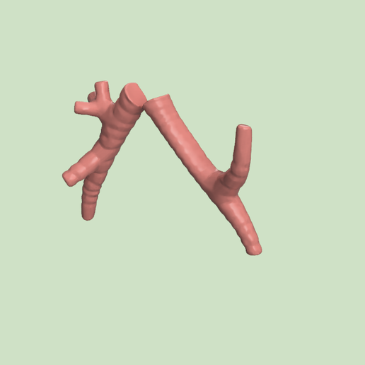 3D file BRONCHUS SEGMENTED 3D MODEL 🫁 ・3D printing template to download ...