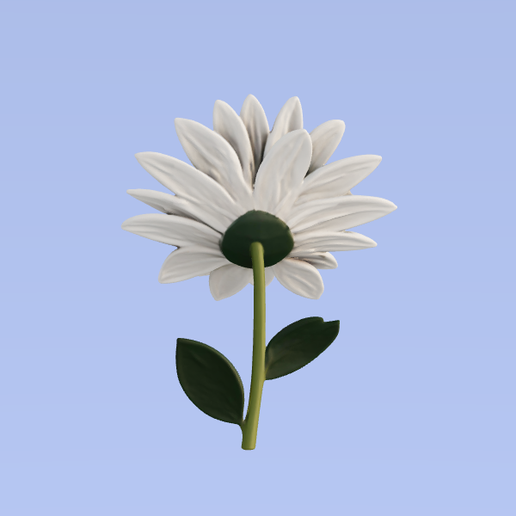 💐 White Daisy・ STL File for 3D printing・Cults