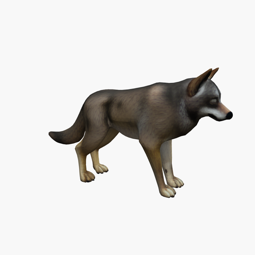 🐺 Grey Wolf・ STL File for 3D printing・Cults