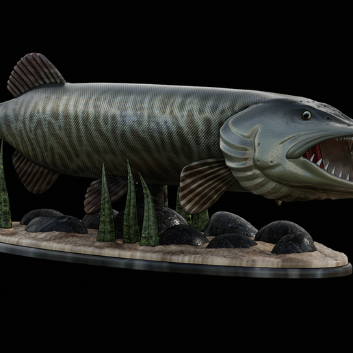 🐠 fish pike muskellunge muskie / Esox masquinongy statue underwater ...
