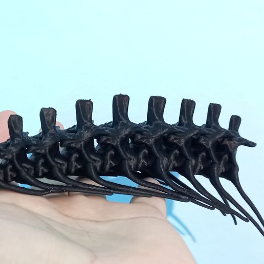 💀 Spinosaurus aegyptiacus skeleton v1,v2 and version JP3 model 3d print ...