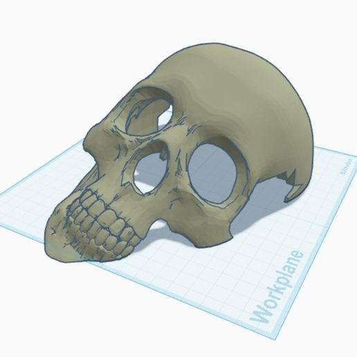 💀 Skull shaped terrarium feature, reptile hide・Free STL File for 3D ...