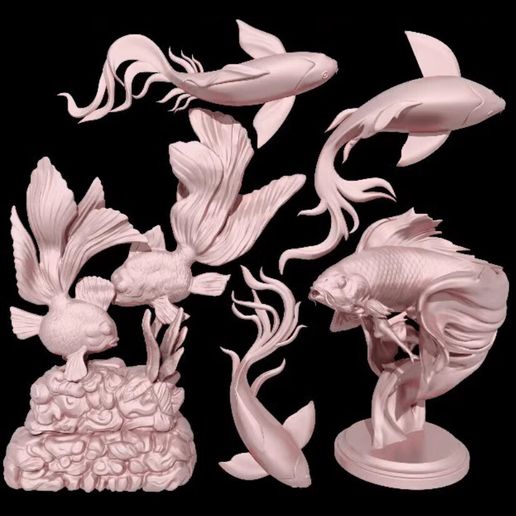 🐠 Goldfish-Arowana-Lucky Fish-Betta 13 Collection・ 3D File for 3D ...