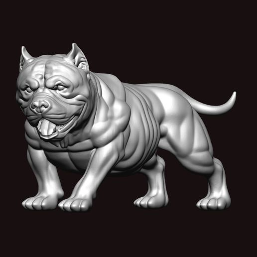 🐕 American bully dog 3d print, standing pose・ STL File for 3D printing ...