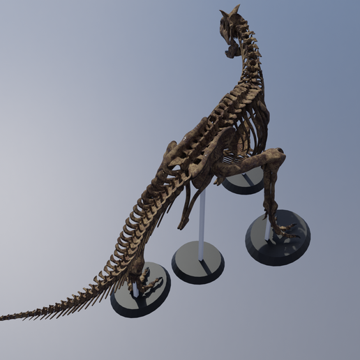 carnotaurus skeleton 3d
