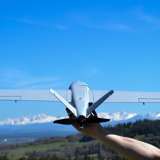 🛩️ pico Talon - 3D Printed FPV Plane・ 3D File for 3D printing・Cults