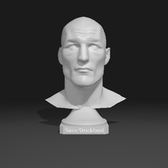 Ufc best 3D printing models・341 free models to download・Cults