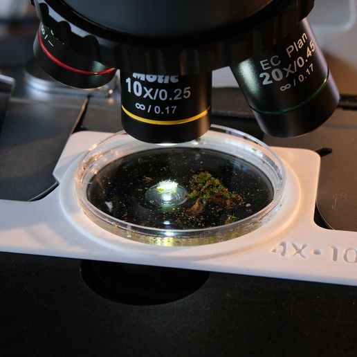 Fichier STL Petri dish holder for microscope MOTIC BA210E and BA310E ...