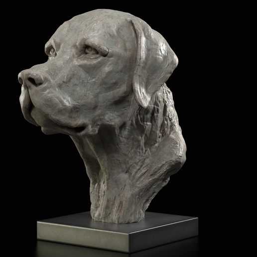 STL file Labrador Retriever - Dog Bust 🐕 (OBJ)・3D printer design to ...