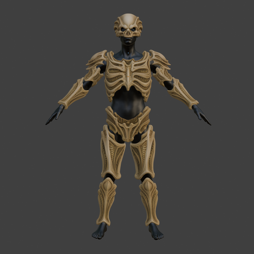 human skeleton armor