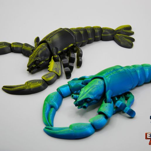 🦐 river shrimp・ STL File for 3D printing・Cults