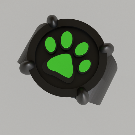 cat noir black ring