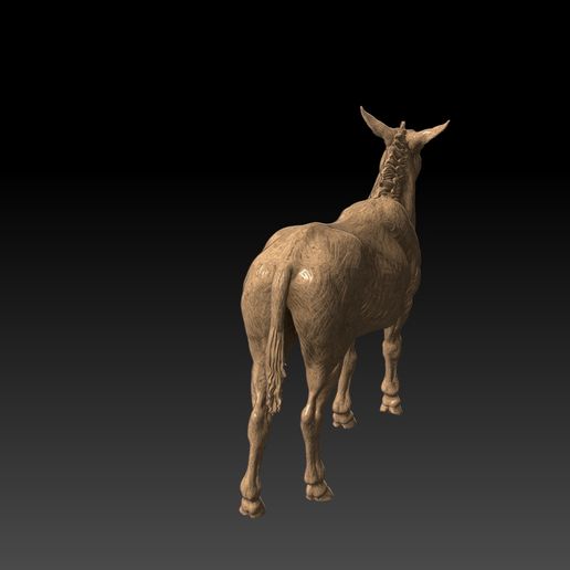 STL file Donkey 3D Print 🐎 (OBJ)・Template to download and 3D print・Cults