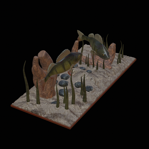 🎏 two perch scenery in underwather for 3d print detailed texture・Free ...