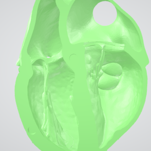 💜 3D Heart Model with Detailed Tricuspid and Mitral Valve・ OBJ File for ...