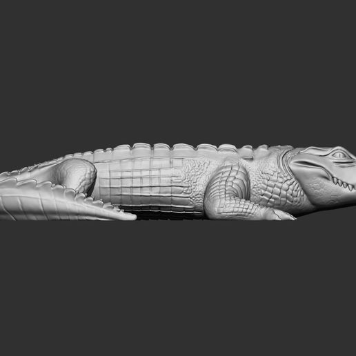 🐊 crocodile stl 3d printable model・ 3D File for 3D printing・Cults