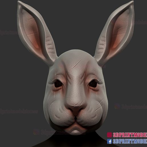 🐇 Rabbit Helmet・Free 3D File for 3D printing・Cults