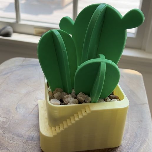 STL file Cactus [2 versions] 🌵 ・3D printing design to download・Cults