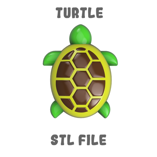 turtle file example
