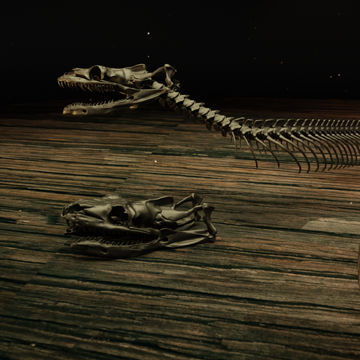 Prehistoric Giant Snake Skeleton