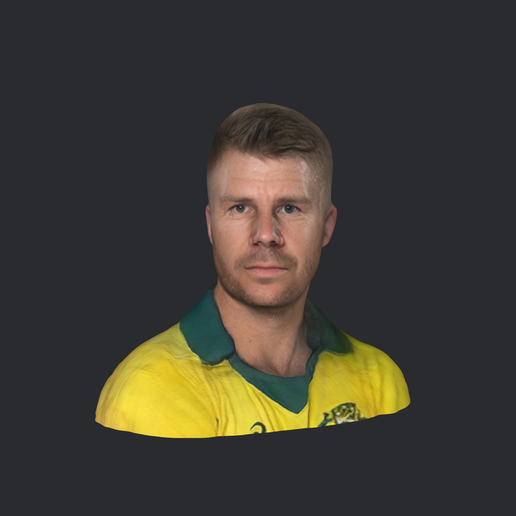 3D file David Warner-bust/head/face ready for 3d printing ️ ・3D printer ...