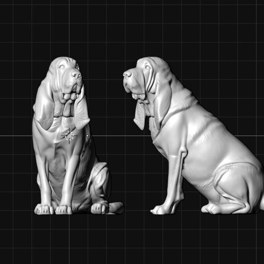👾 Bloodhound Sabueso de San Huberto - Modelo 3D・Archivo STL para ...