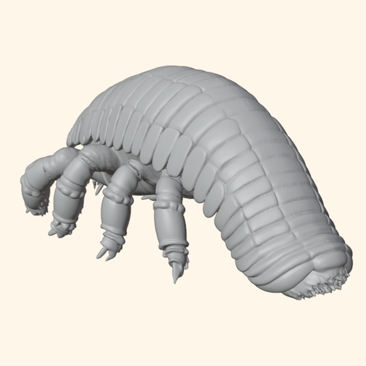 👹 Trilobite Creature・Free STL File for 3D printing・Cults