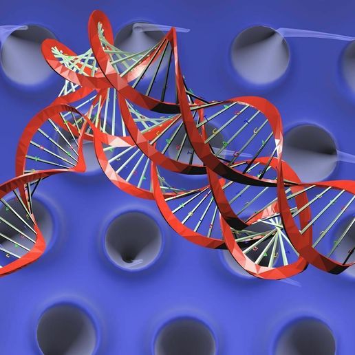 🧬 Virus With DNA helix and labelling・ 3D File for 3D printing・Cults