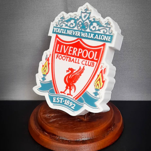 🎱 LIVER POOL SHIELD・ STL File for 3D printing・Cults