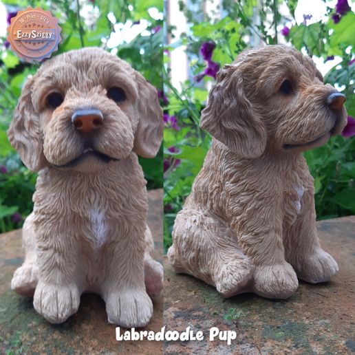 3D file Labradoodle Pup 🐕 ・3D printable model to download・Cults