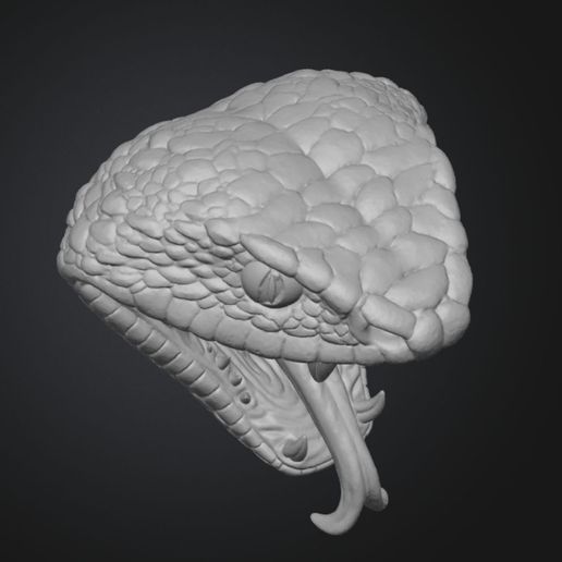🗿 Testa serpente・Free STL File for 3D printing・Cults