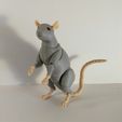 STL file Rat BJD 🐀 ・Model to download and 3D print・Cults