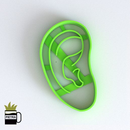 👂 HUMAN BODY EAR FONDANT COOKIE CUTTER MODEL 3D IMPRESSION・ STL File ...