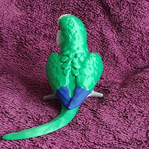🦜 Loro cuáquero・Archivo STL para Impresión 3D・Cults