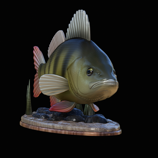 STL file fish perch / Perca fluviatilis statue underwater detailed ...