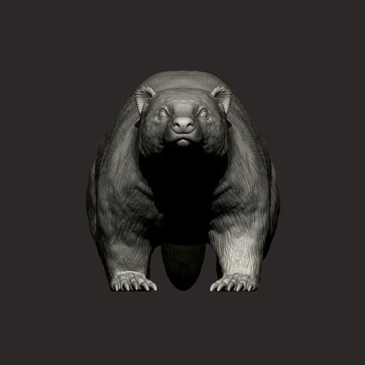 STL file European Badger 3D print model 🦡 (OBJ)・3D printable model to ...