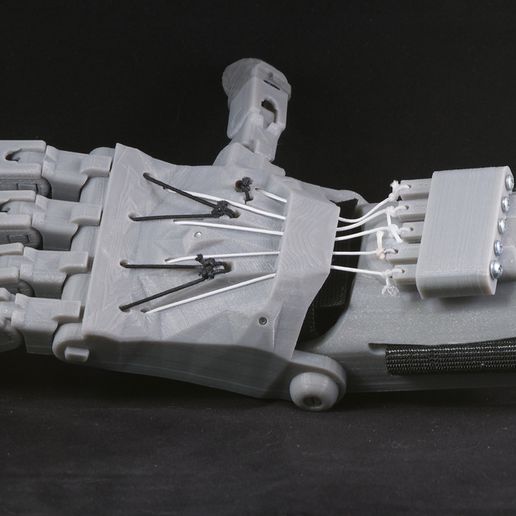 The Raptor Hand by e-NABLE・Free 3D File for ・Cults