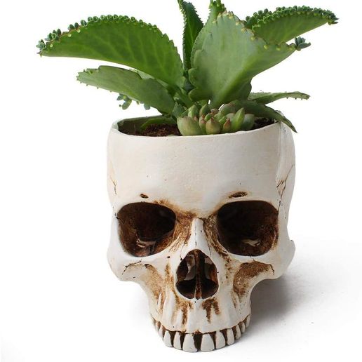 💀 skeleton skull pot・ STL File for 3D printing・Cults