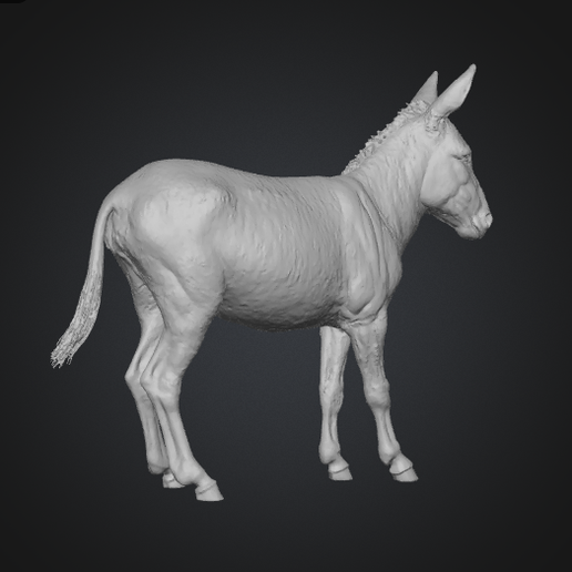 🎨 Cute Realistic Donkey・ STL File for 3D printing・Cults
