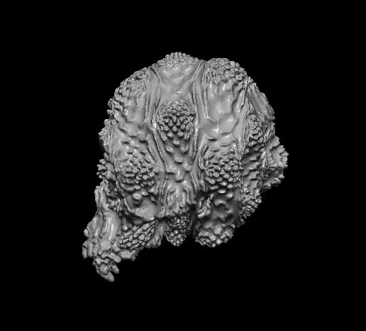 💀 fractal skull・ STL File for 3D printing・Cults