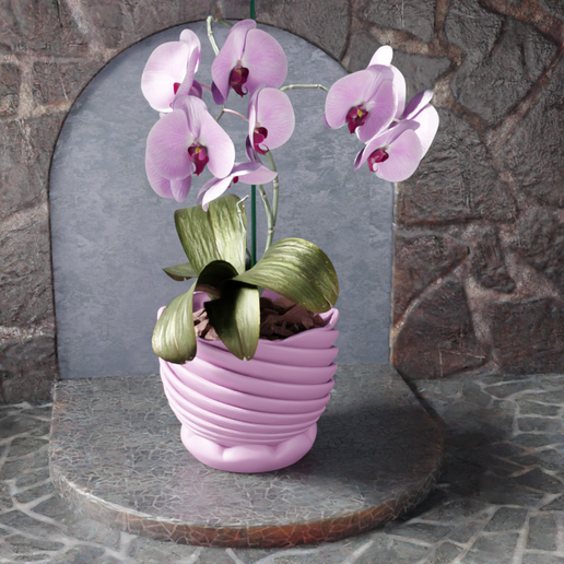 STL file Velara Pot/Planter/Orchid Pot 🪴 ・3D print design to download・Cults