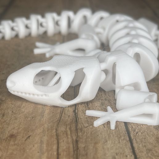 🦎 ARTICULATED LIZARD SKELETON - PRINT-IN-PLACE ARTICULATED SKELETON ...