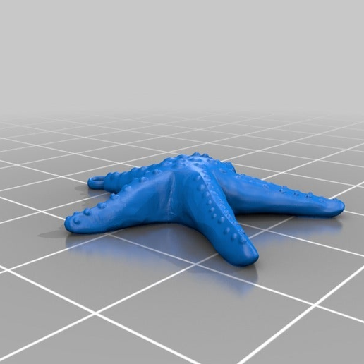 💍 Starfish・Free STL File for ・Cults