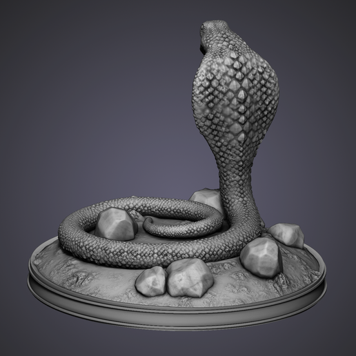 🐍 The venomous cobra snake stands in a deadly runoff among the rocks ...