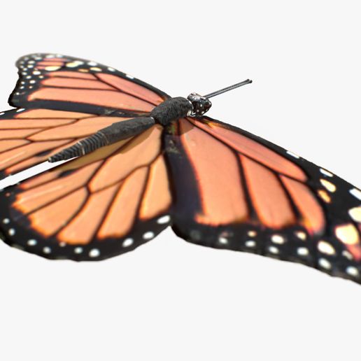 🦋 Low-Poly Butterfly・ STL File for 3D printing・Cults