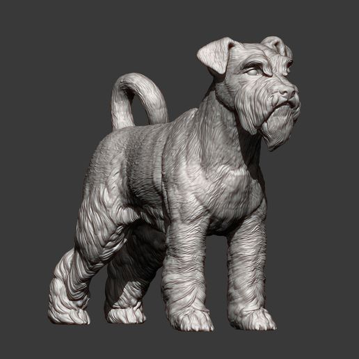 🐕 schnauzer 3D print model・ 3D File for ・Cults