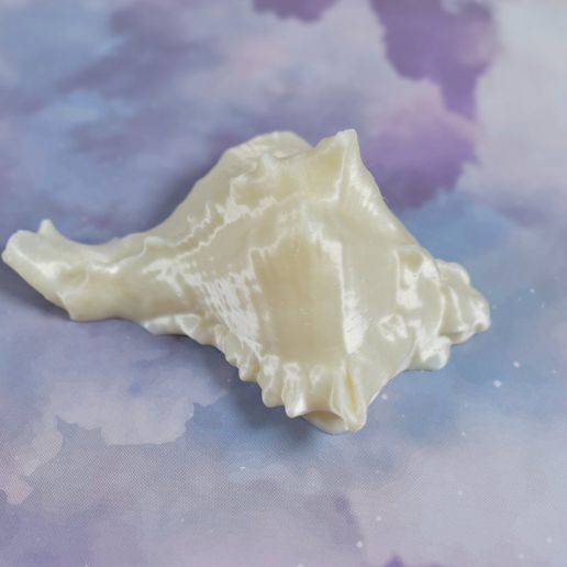 STL file SeaShell - Easy Print - 3 models 🍽️ ・3D printing idea to ...